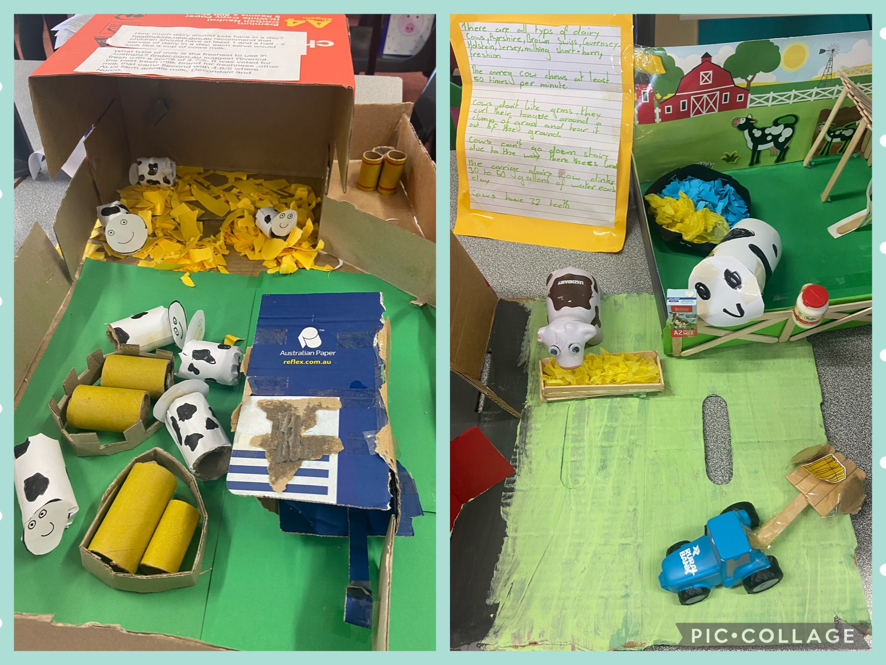 Cows Create Careers